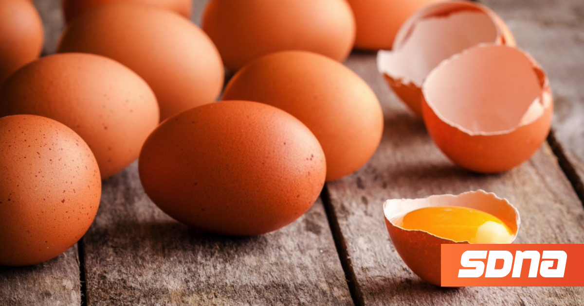 ΣΔΟΕ: Εντοπίστηκαν και κατασχέθηκαν πάνω από 300 χιλ. αβγά από τη Βουλγαρία χωρίς την απαραίτητη ...